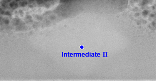 An unexpected gray area could help bring about long-lasting solar cells ...