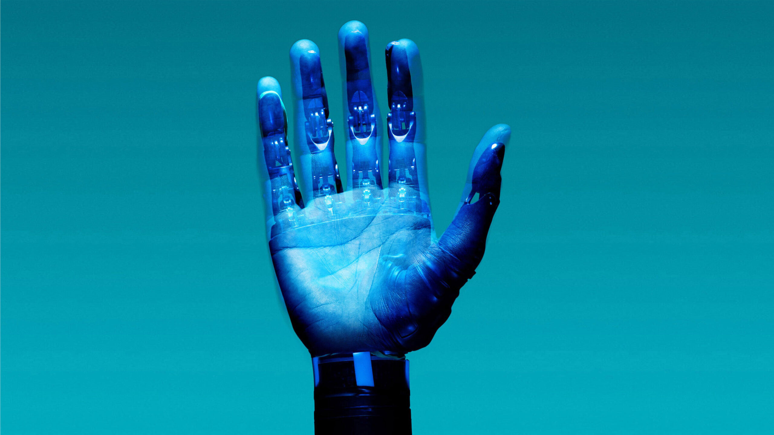 Biomedical Engineering, BS - College of Engineering - University of ...