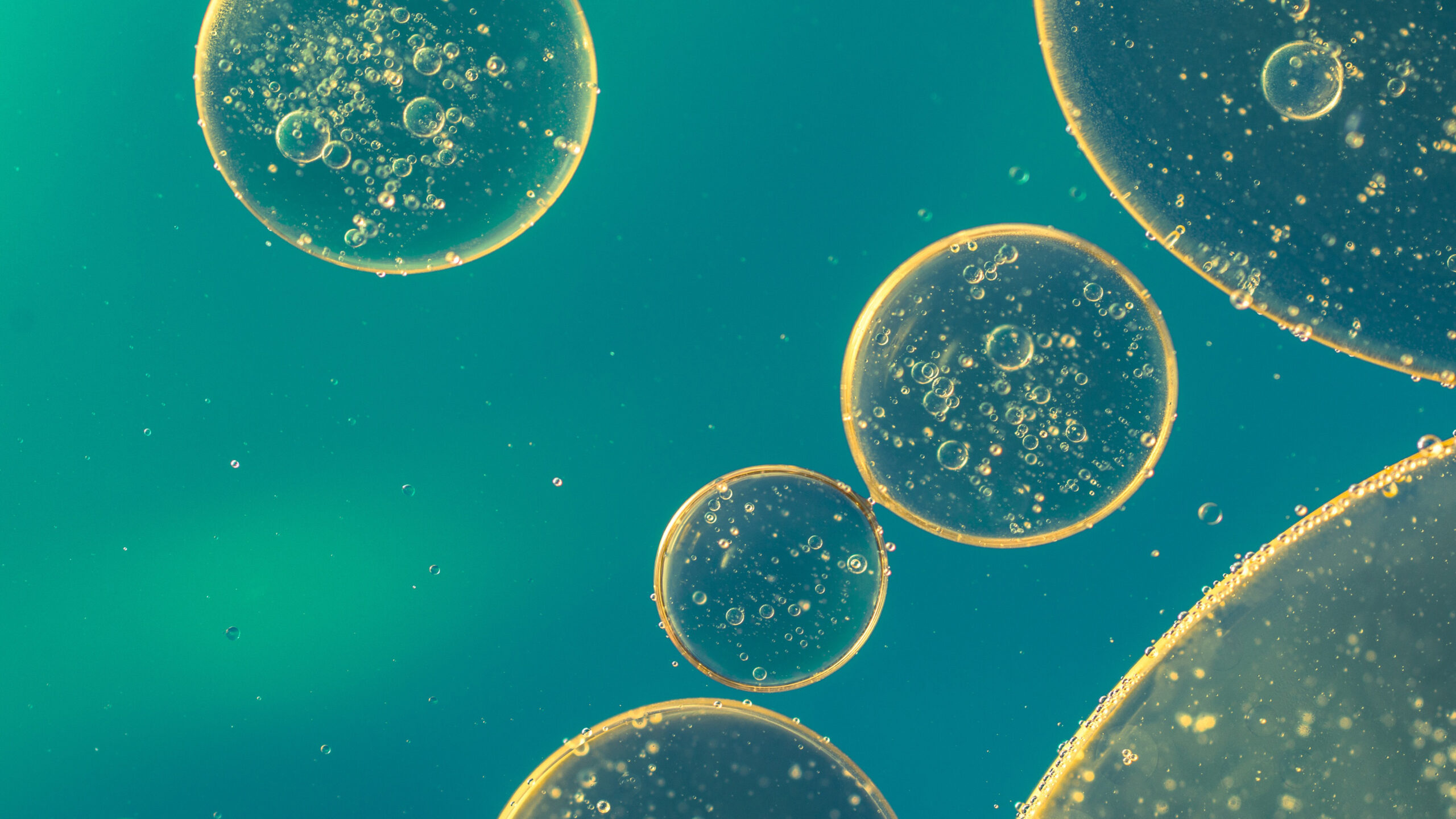 Materials, Polymers and Transport Processes - College of Engineering ...