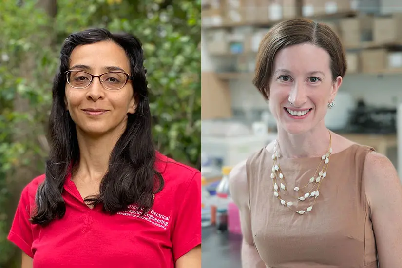 Davoodi, Masters earn research support through Vilas Associates ...