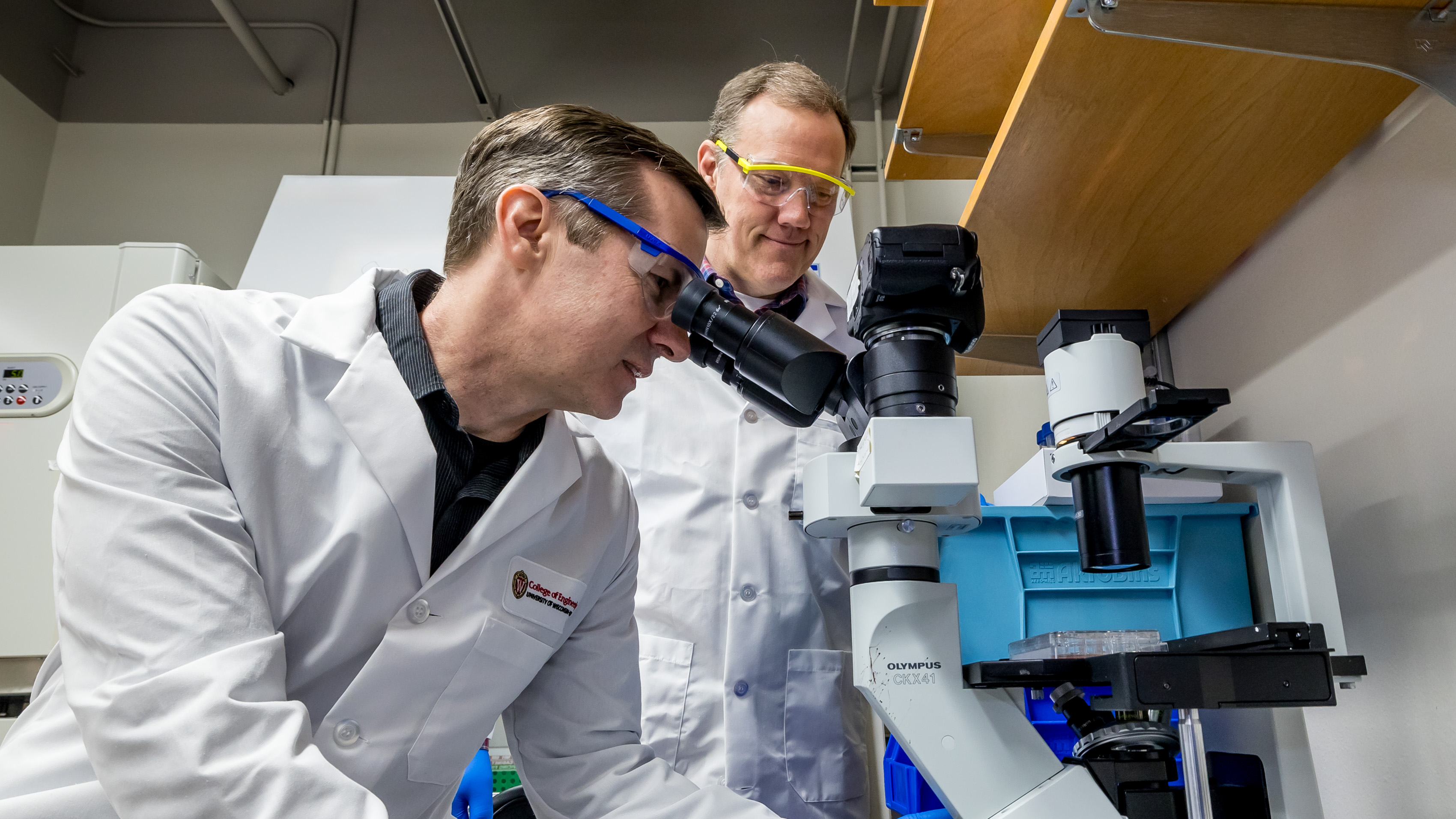 For researchers, new serum-free cell line could advance understanding ...