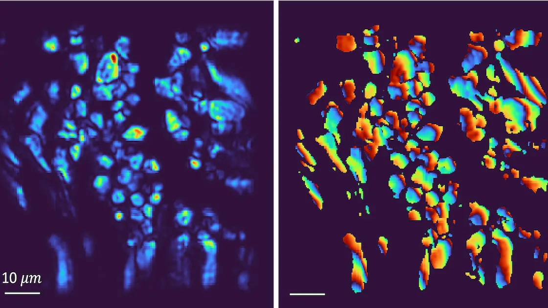 Unique optical imaging approach sheds light on hidden information ...