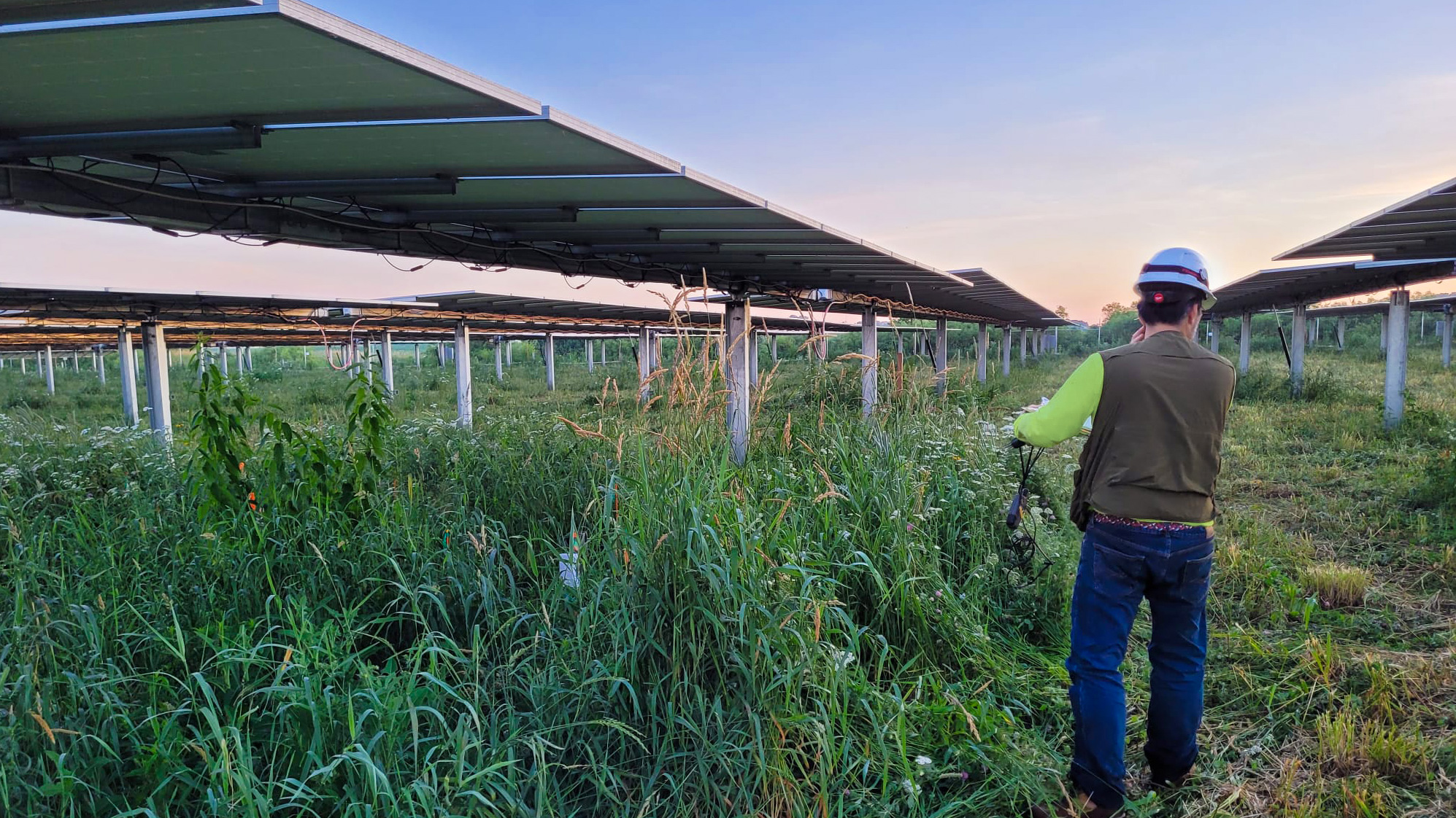 Solar farms’ utility, yield potential extends well beyond harvesting ...